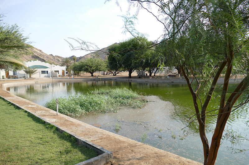 Gallery - Goanikontes Oasis - Goanikontes