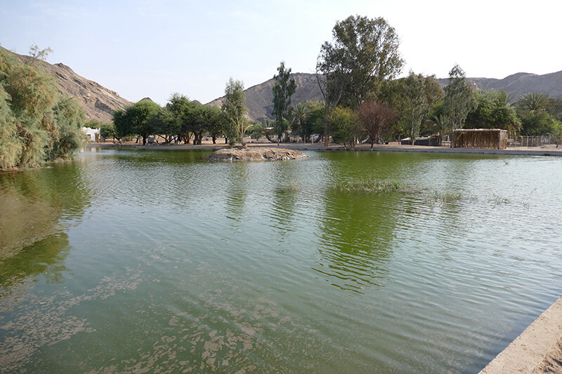 Gallery - Goanikontes Oasis - Goanikontes