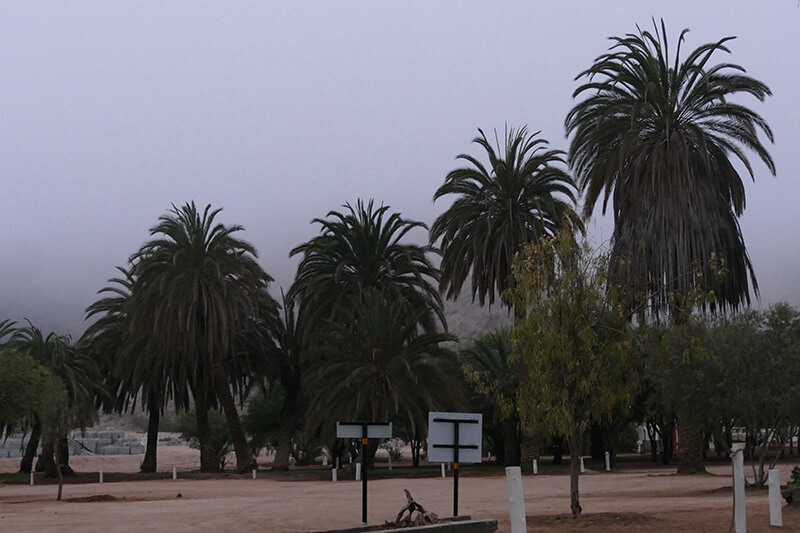 Gallery - Goanikontes Oasis - Goanikontes