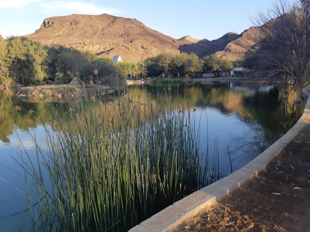 Gallery - Goanikontes Oasis - Goanikontes