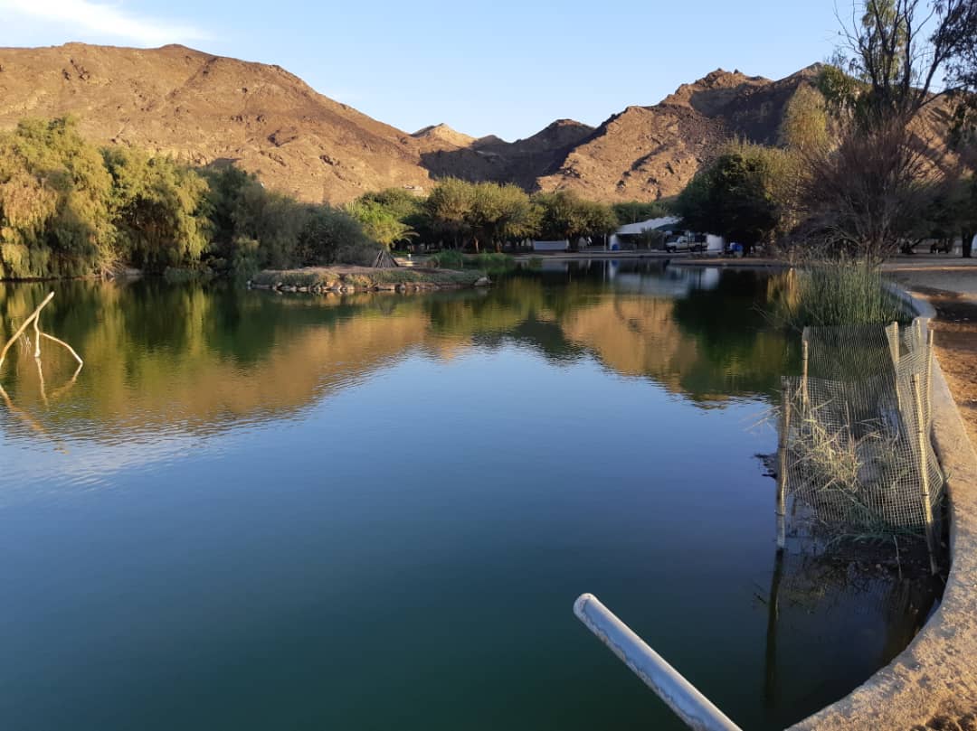 Gallery - Goanikontes Oasis - Goanikontes