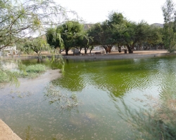 Gallery - Goanikontes